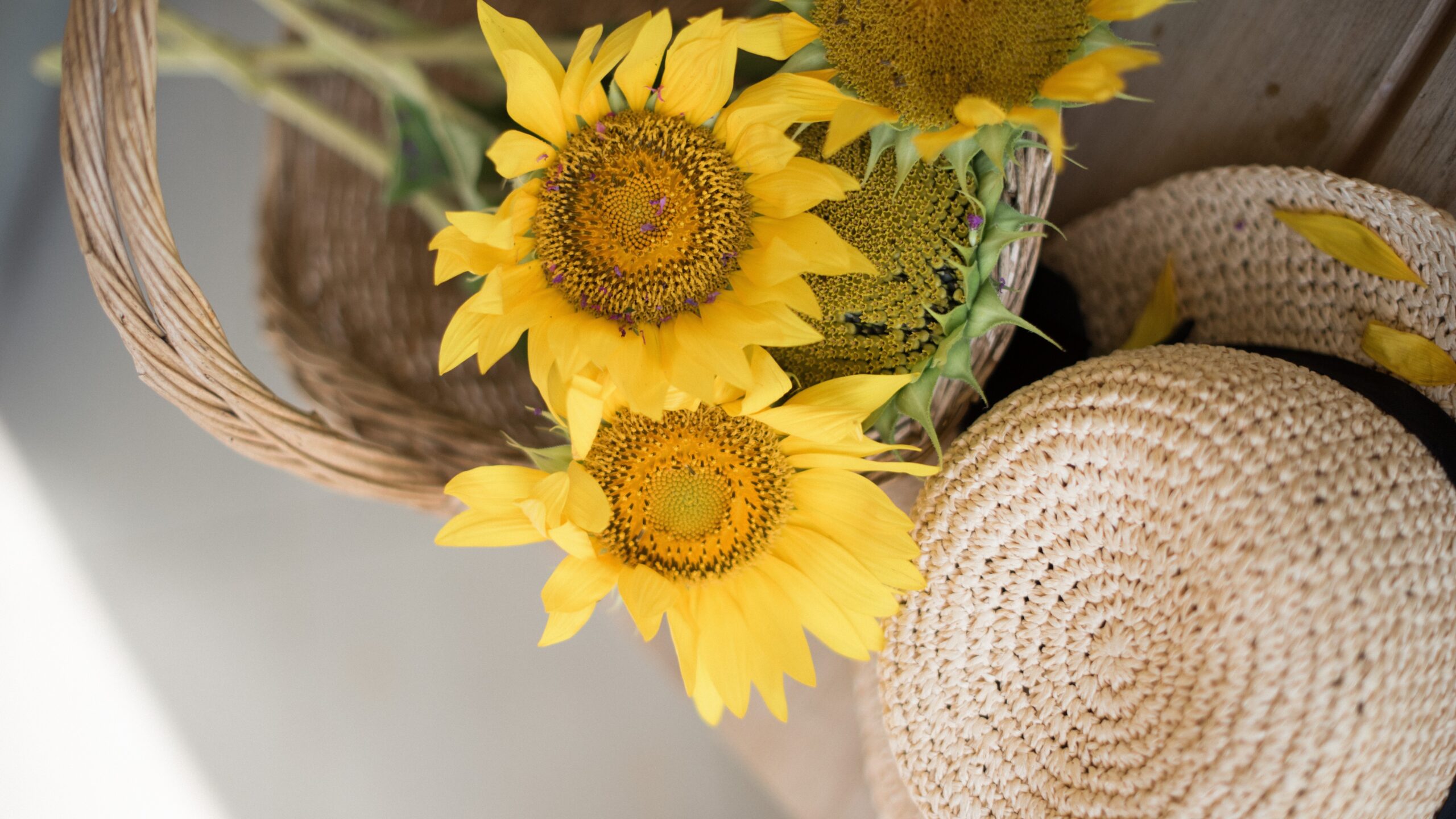 Primarosa Country House